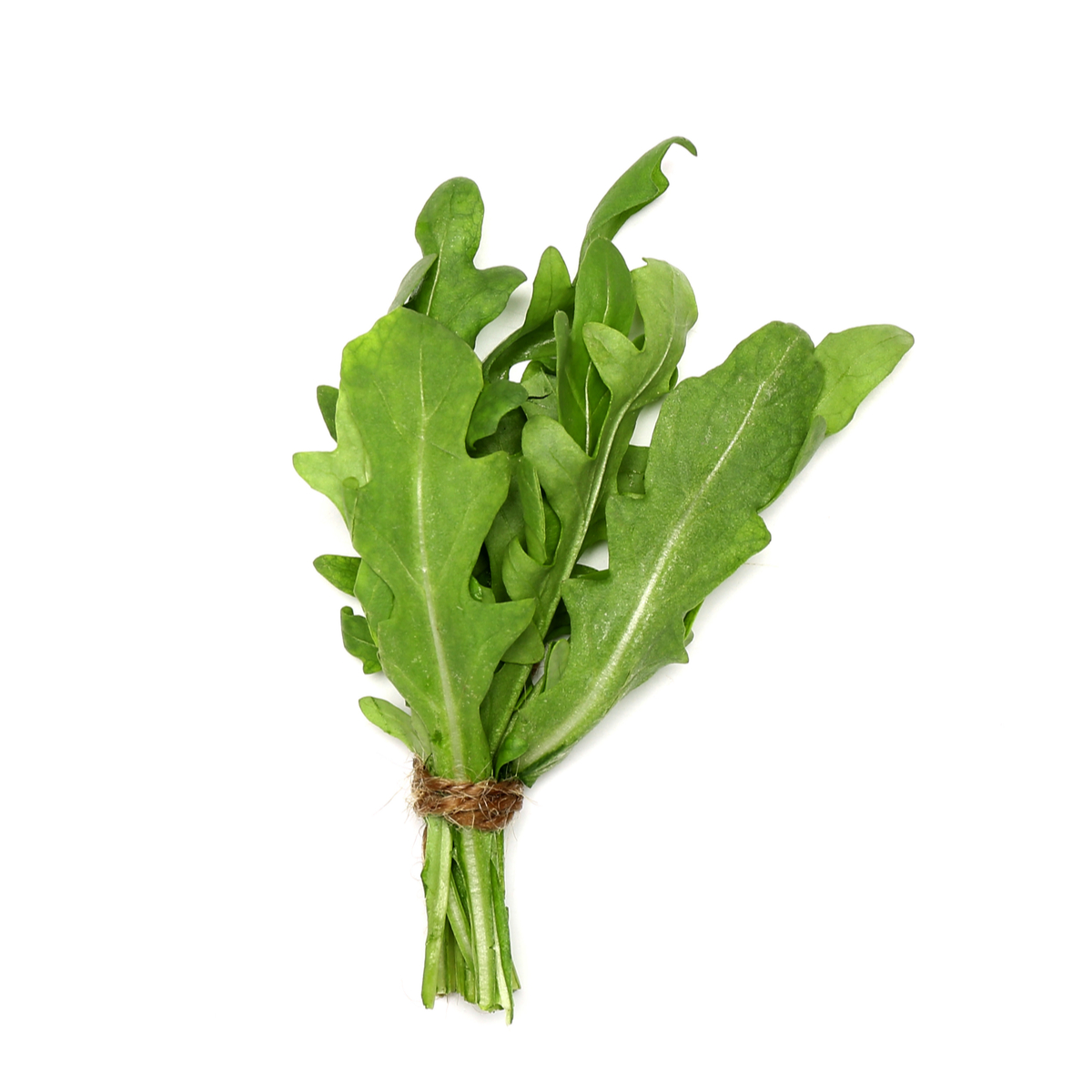 Beef Pasta with Blue cheese sauce | jo